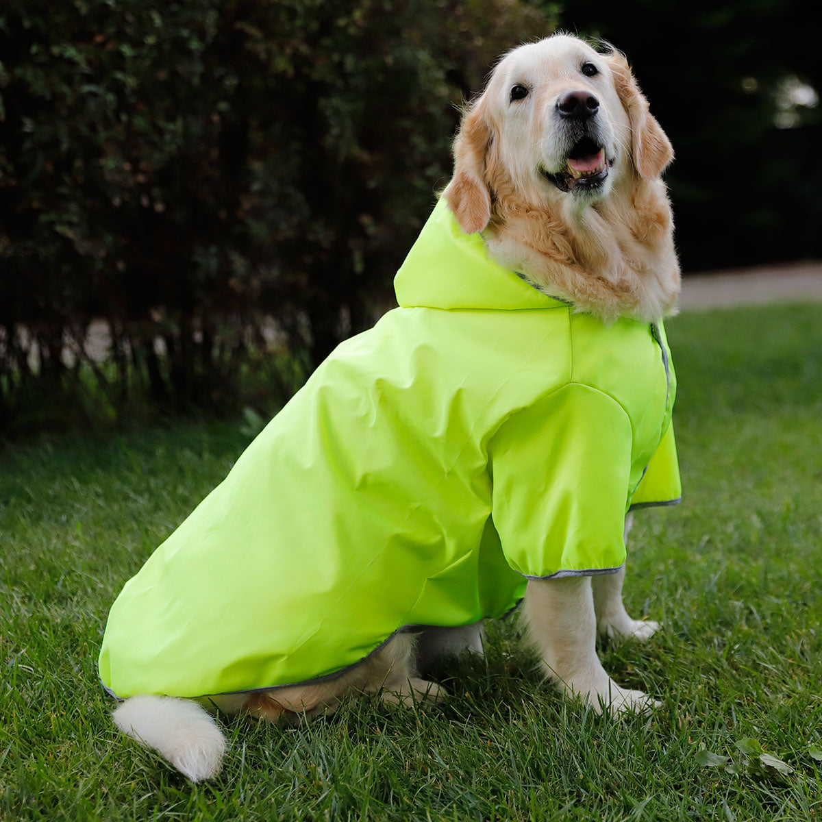 ChicPet Yellow Neon Raincoat – Chicpet